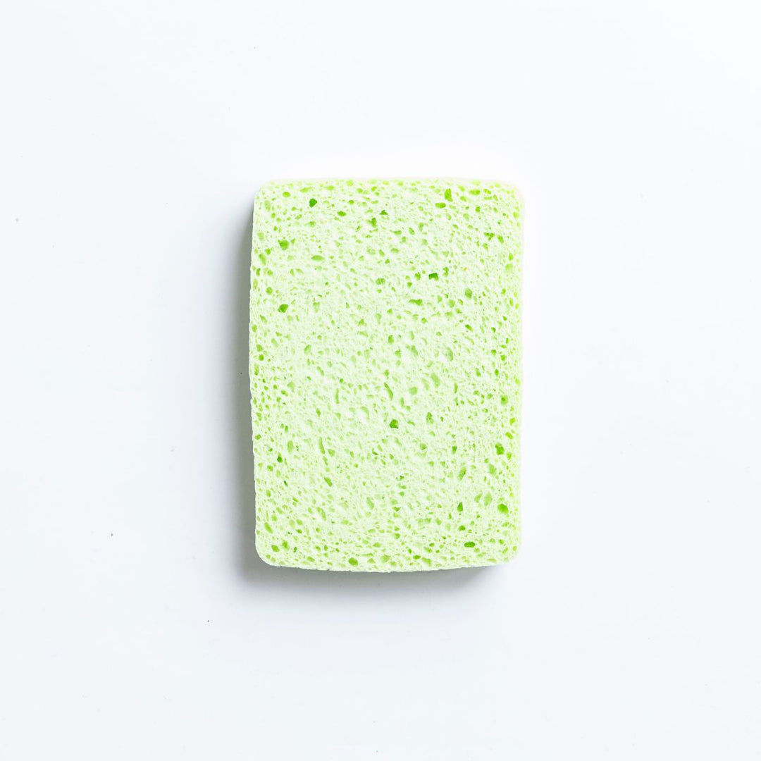 Eco Turtles Multipurpose Cellulose Sponge – Urban Ethos